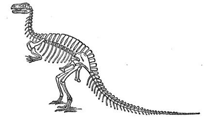 Megalozauro ataka