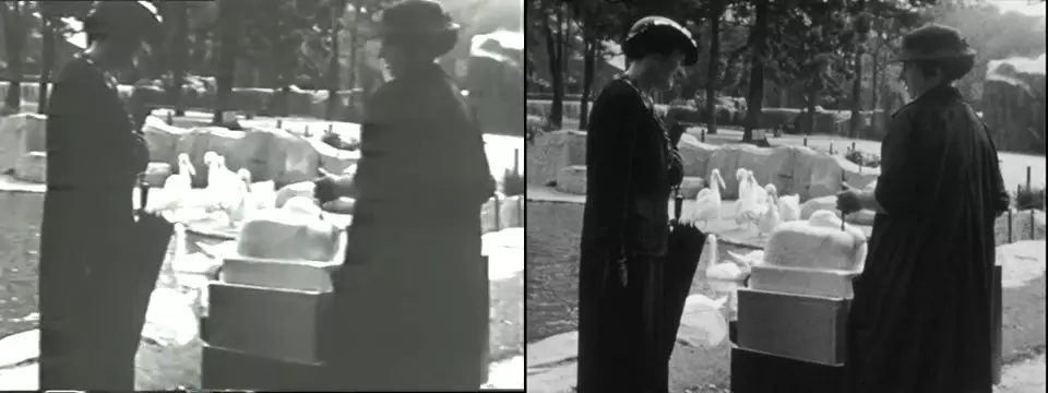 د 1934 او 1936 ترمنځ د پاریس سټوډیو او ژوبڼ د کور فلمونو څخه سټیلونه. د ماریون سانفورډ او کورنیلیا چاپین کاغذونه، 1929-1988. د امریکایی هنر آرشیف، سمیتسونین انسټیټیوټ.