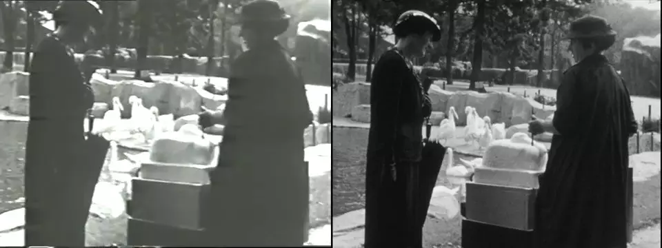 Stills from Home movies of Paris studio and zoo, di navbera 1934 û 1936. Kaxezên Marion Sanford û Cornelia Chapin, 1929-1988. Arşîvên Hunera Amerîkî, Enstîtuya Smithsonian.