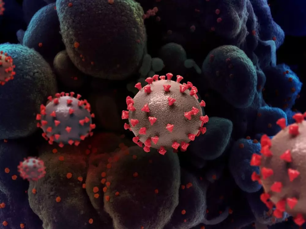 O reprezentare artistică a SARS-CoV-2, virusul care provoacă COVID-19. (NIAID)