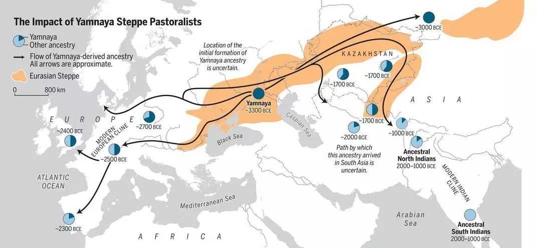 แผนที่สีขาวและสีเทาของยุโรปและเอเชีย โดยเน้นสีส้มเป็นบริเวณที่ประชากรที่ราบสูง Eurasian Steppe อพยพ