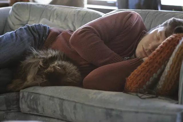 Scientists Show That Naps Really Are the Best