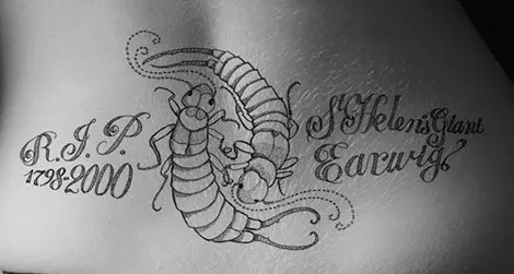 Ireo Tattoos Honor dia very, tsy dia tiana loatra