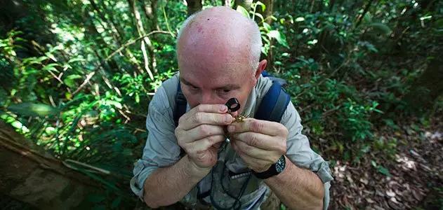 A New Species Bonanza in the Philippines