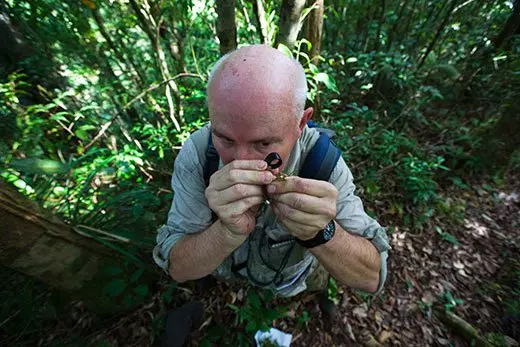 A New Species Bonanza in the Philippines 18453_8