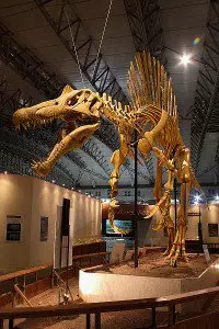 Sabon Nazari Yana Bincika Cikakkun Cizon Dinosaur