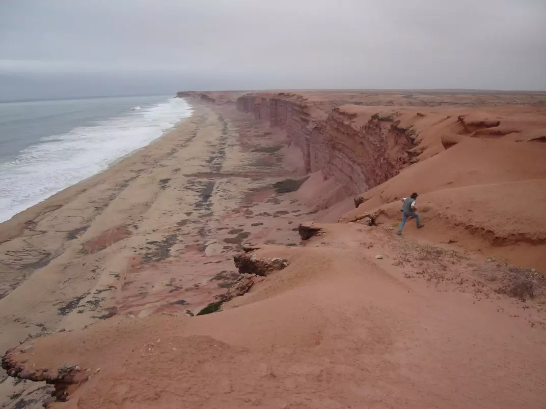 Modern Cliffs vun Küst Angola wou Projecto PaleoAngola Paleontologists Ausgruewung Fossilien vum Liewen, datt eemol am Angola d'antike Mier gelieft.
