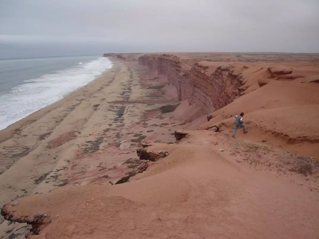 Moderna klippor i kustnära Angola där paleontologer från Projecto PaleoAngola gräver ut fossiler av liv som en gång levde i Angolas antika hav.