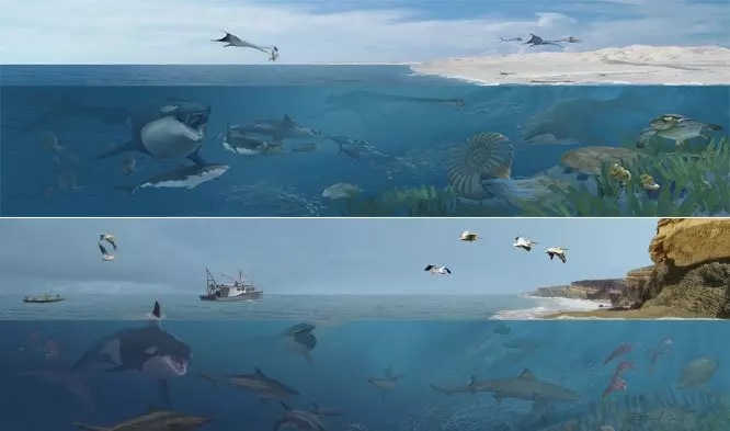 Το «Sea Monsters Unearthed» θα βυθίσει τους επισκέπτες υποβρύχια τόσο σε κρητιδικά (πάνω) όσο και σε μοντέρνα (κάτω) ωκεάνια περιβάλλοντα με ζωντανή παλαιότέχνη ζωής κάτω από τα κύματα—με την ευγενική προσφορά της καλλιτέχνιδας της φυσικής ιστορίας Karen Carr.