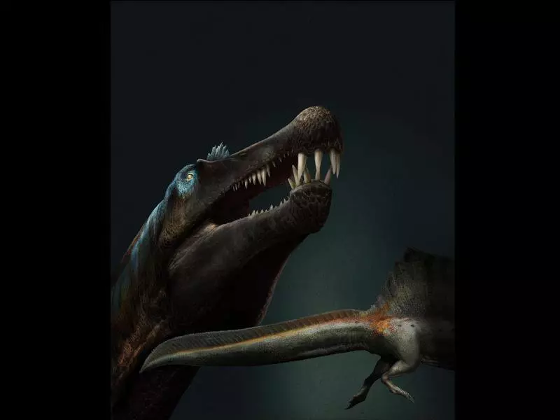Léiriú ealaíontóra ar Spinosaurus fiacaile.