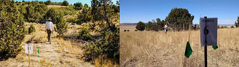 Esta herramienta de mapeo podría ayudar a los bomberos en áreas silvestres a planificar rutas de escape