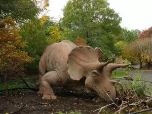 En Triceratops i National Zoo