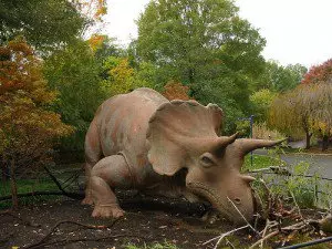 دۆلەتلىك ھايۋاناتلار باغچىسىدىكى Triceratops