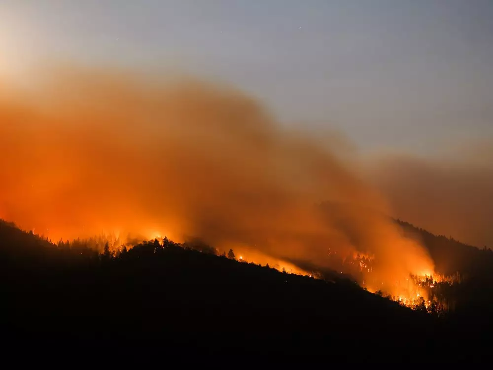 Humo ascendente del incendio francés en el Bosque Nacional Sequoia en California.