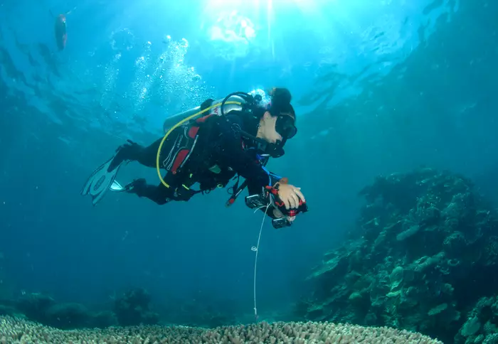 Эшмор жээгиндеги Ыраакы Түндүк Улуу Тосмо рифинде аквалангдын камерасын кармап турганы көрүнүп турат.