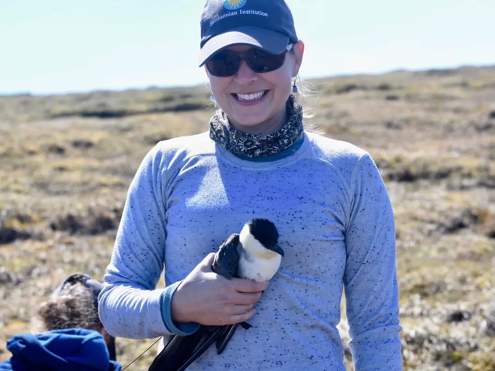 Dr. Igba Irẹdanu Ewe-Lynn Harrison, Smithsonian Migratory Bird Center. Kirẹditi: Mary Lewandowski, National Park Service.