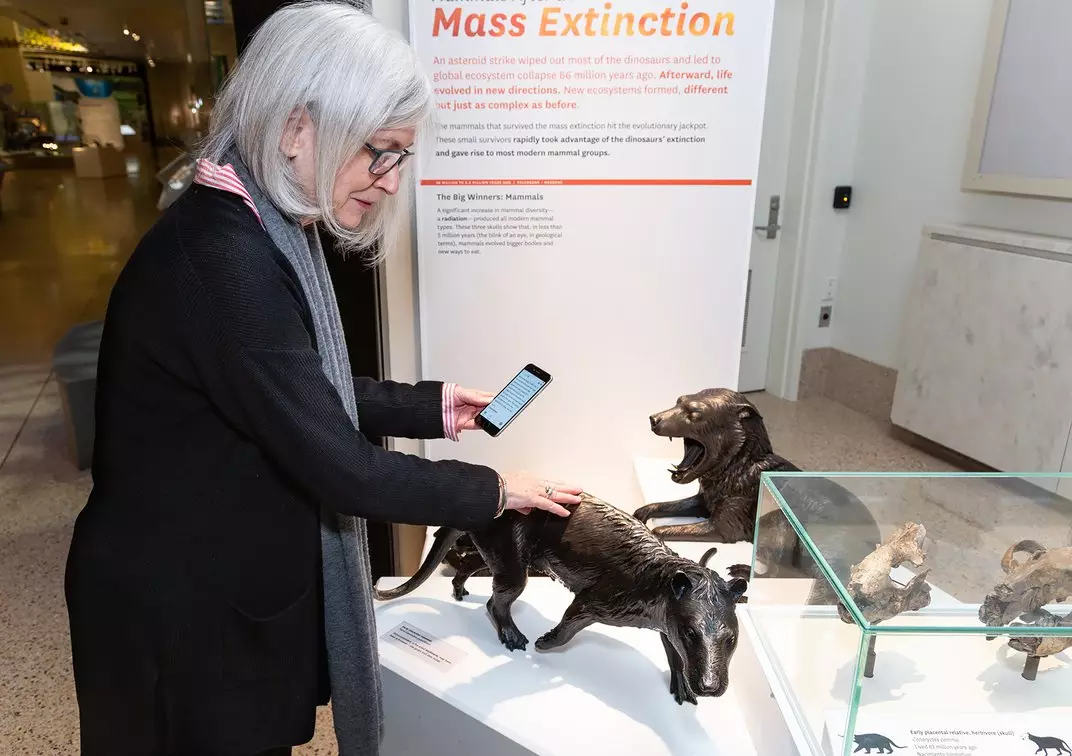 No salão de fósseis do Smithsonian, uma mulher toca uma estátua de bronze em uma vitrine branca com a mão direita enquanto usa o aplicativo Deep Time Audio Description em um smartphone com a mão esquerda.