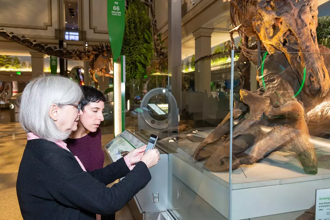 To kvinder ser på Deep Time Audio Description-appen på en smartphone, mens de står foran en skærm med en T. rex, der halshugger en triceratops i Smithsonians nye fossilhal.
