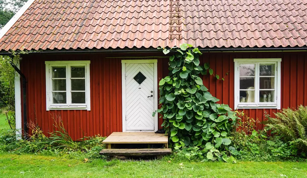 لماذا كل البيوت السويدية مطلية باللون الأحمر؟