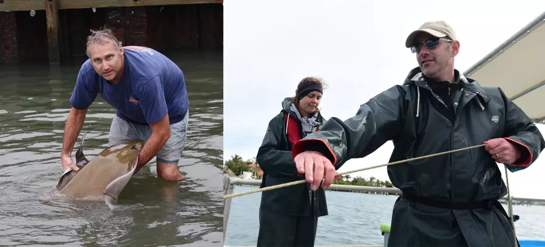 Kaliwa: Lalaki sa tubig na may hawak na cownose ray. Kanan: Lalaki at babae sa bangka.