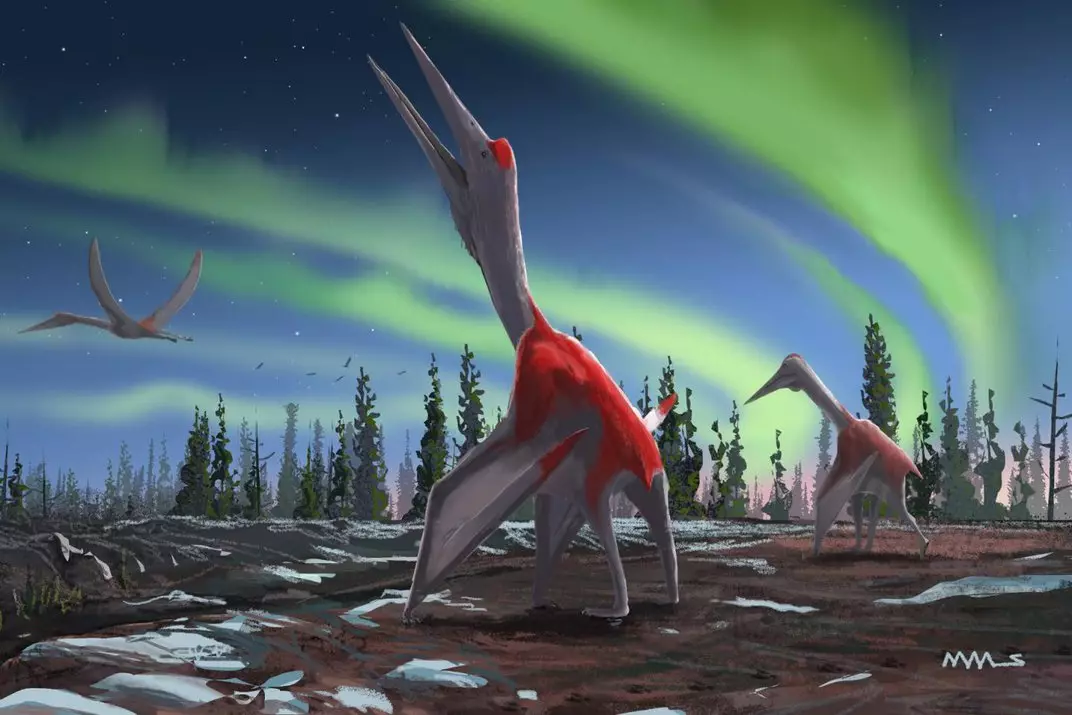 Pterosaurus staan