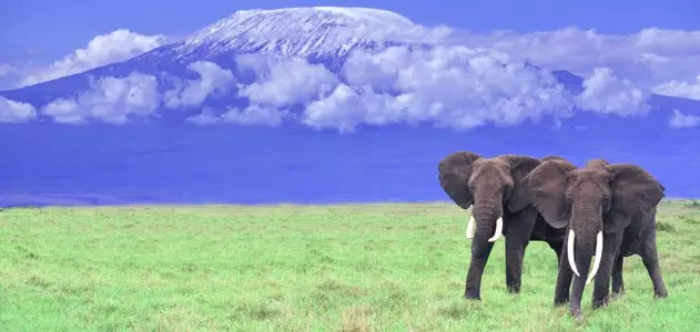 Randone mòn Kilimanjaro