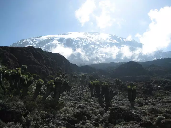 Wandelen op de Kilimanjaro 18752_2