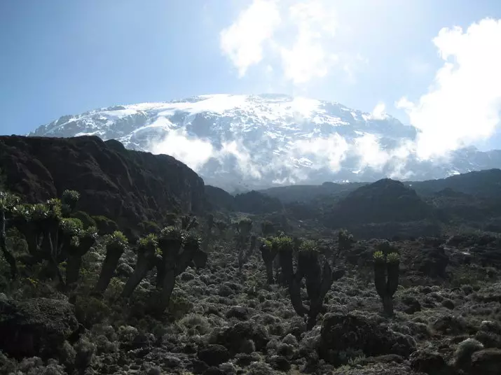 Hiking në malin Kilimanjaro 18752_2