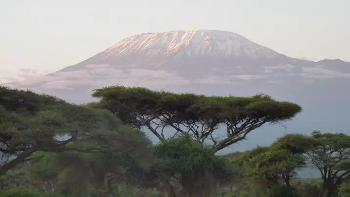 Matkamine Kilimanjaro mäele 18752_6