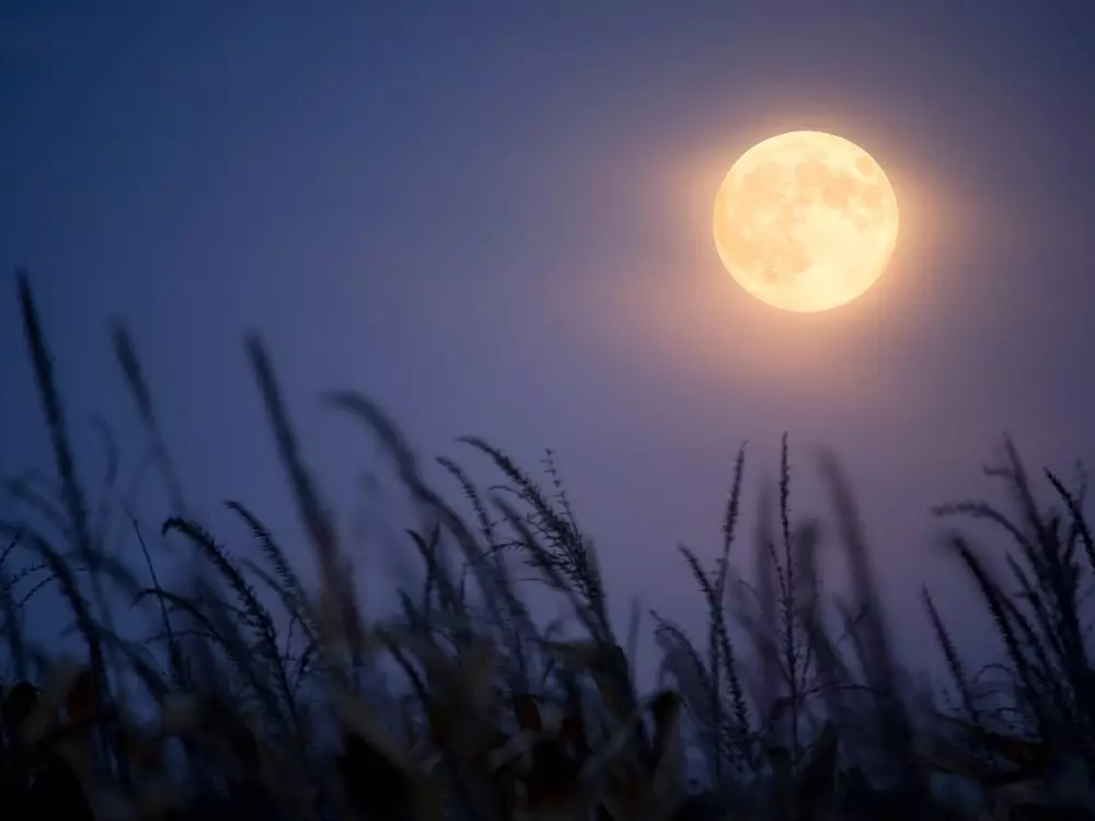 Kukohwa Kusingawanzo 'Micromoon' Kuchavhenekera Denga neChishanu 13th