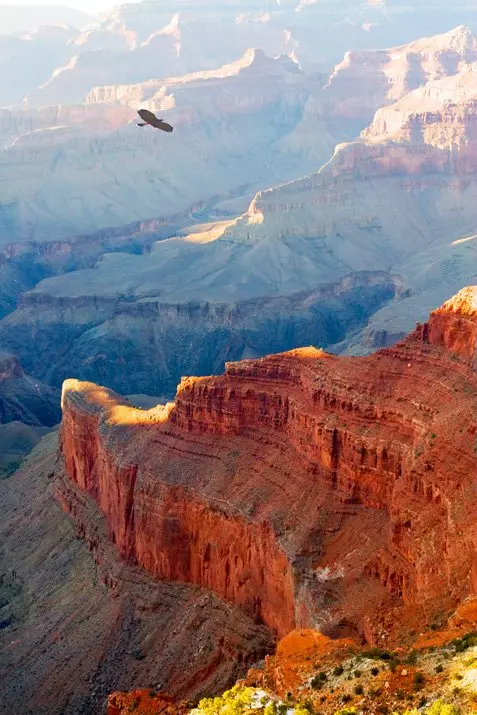 Grand Canyon nyob rau hauv tag nrho nws lub yeeb koob 18784_3