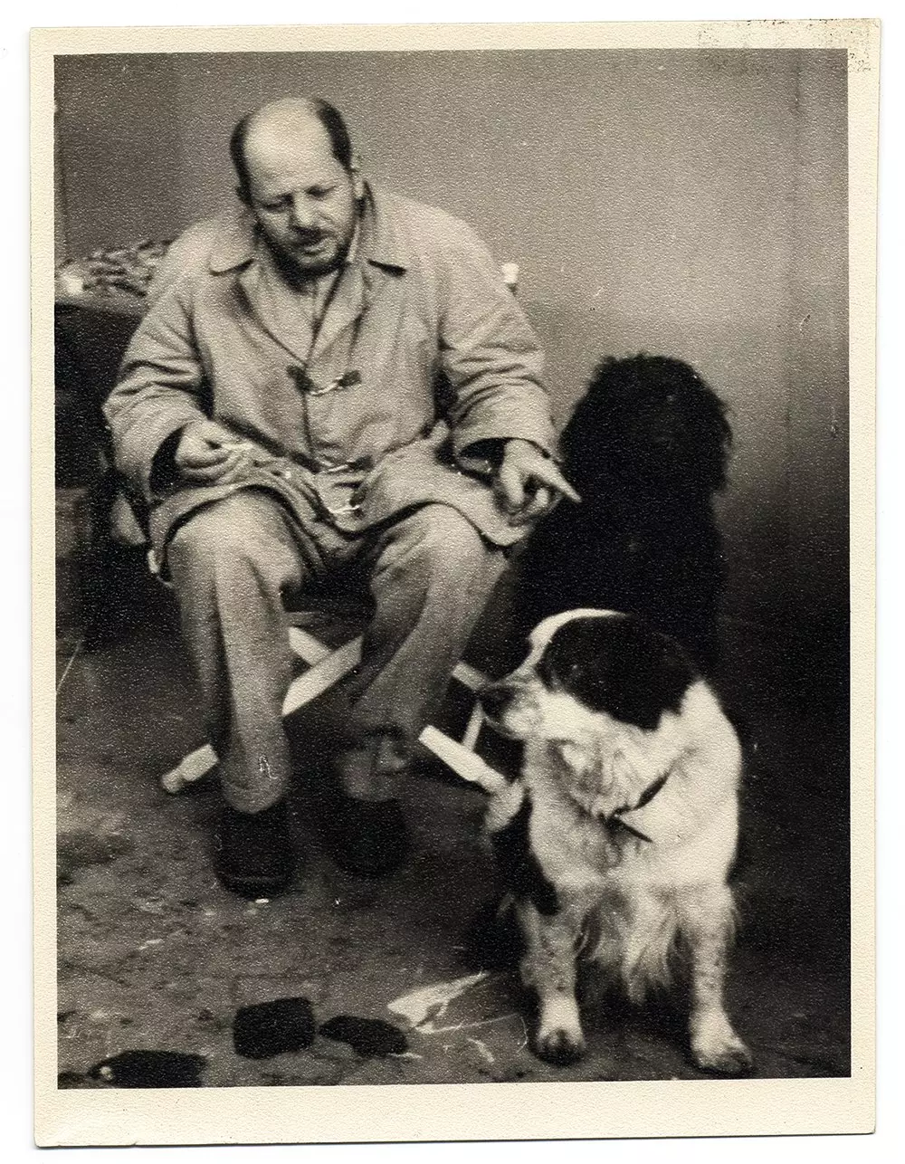 Fotografi av Jackson Pollock med sina husdjurshundar Gyp och Ahab