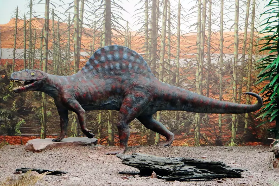 Ctenosauriscus |