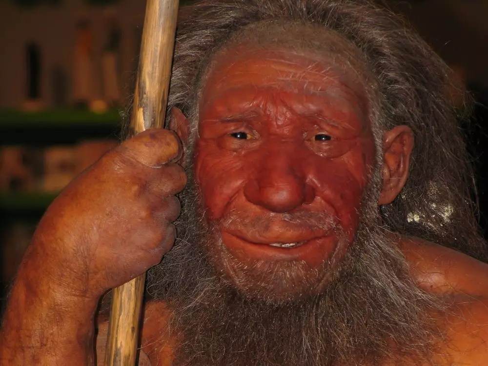 Goorma ayuu Dhamaaday Hook Ups Human-Neanderthal?