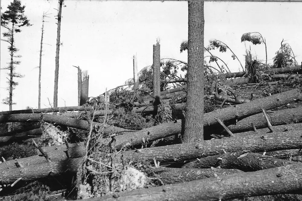 Ураган из 1938. који је оживео јесење боје Нове Енглеске