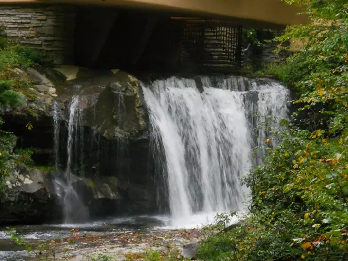 Ny asa tsara indrindra nataon'i Frank Lloyd Wright 18841_3