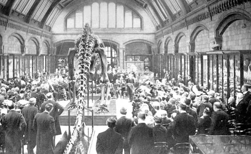 When Diplodocus Invaded Europe