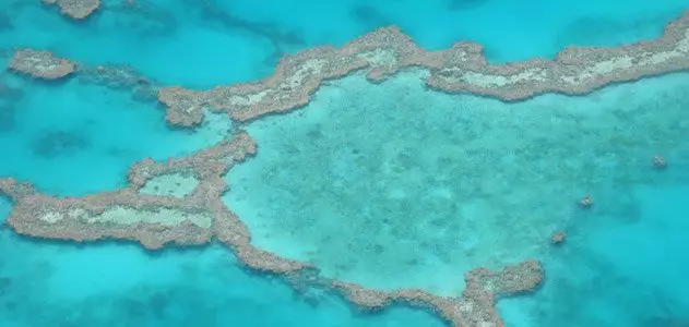 Het Great Barrier Reef