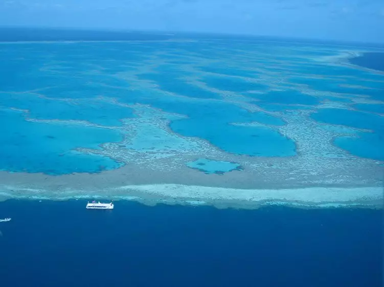 Kunyura muGreat Barrier Reef 18889_6