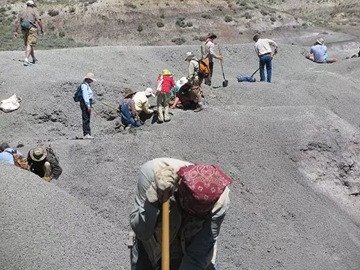 Despatx de paleontologia de Wyoming núm. 5: un equip de científics d'estrelles 18890_2