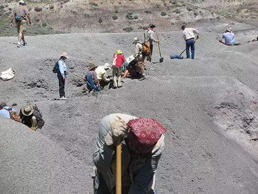 I-Wyoming Paleontology Dispatch #5: Ithimba Lezinkanyezi Zonke Lososayensi 18890_2