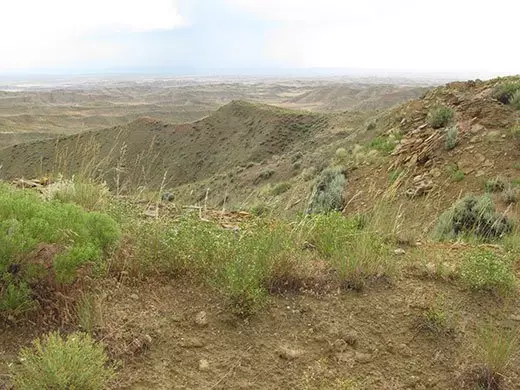 Wyoming Paleontology Yoherejwe # 5: Ikipe Yinyenyeri Yose Yabahanga 18890_4