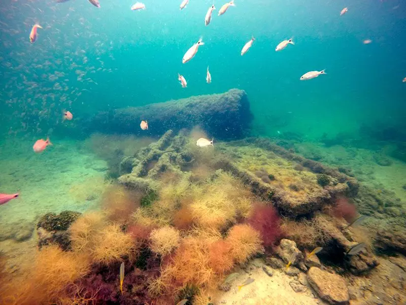 Vatsvagiri Vanoziva Mexican Wreck se19th-Century Maya Slave Ship 18924_4