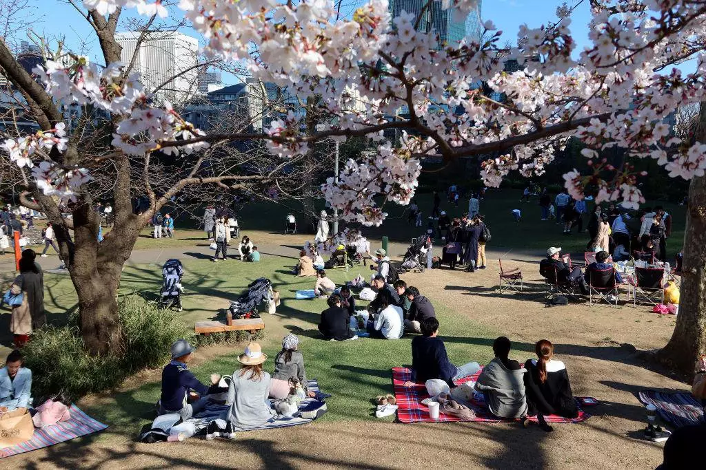 Como fai picnic a xente ao redor do globo?