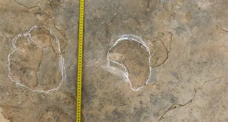 Een deel van een sauropod-baan van de Teruel, Spain-tracksite