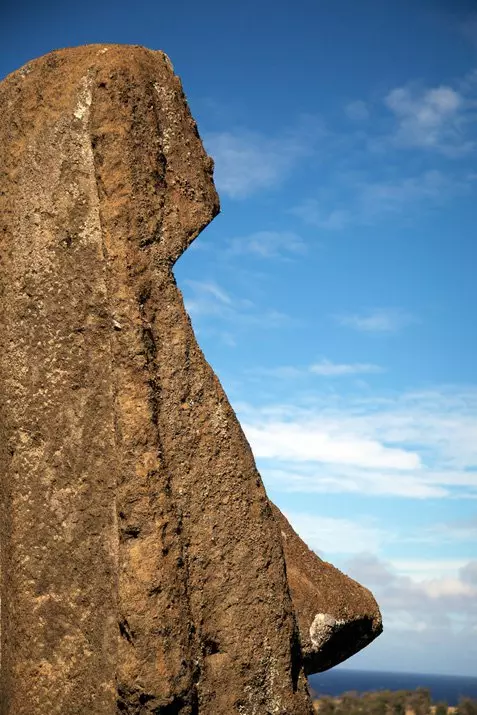 Ang mga Statues ng Easter Island 19105_2