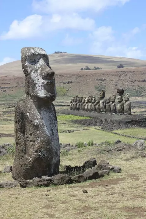 Ang mga Statues ng Easter Island 19105_5