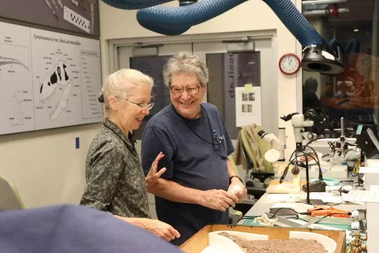 FossiLab-Managerin Abby Telfer und Freiwilliger Harry Island an einem Arbeitsplatz im FossiLab diskutieren, wie man ein Fossil lagert.