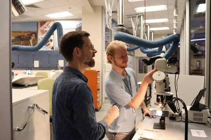 Dos voluntarios dibujando ilustraciones científicas en el FossiLab con cerramiento de vidrio en el Museo Nacional de Historia Natural del Smithsonian. .