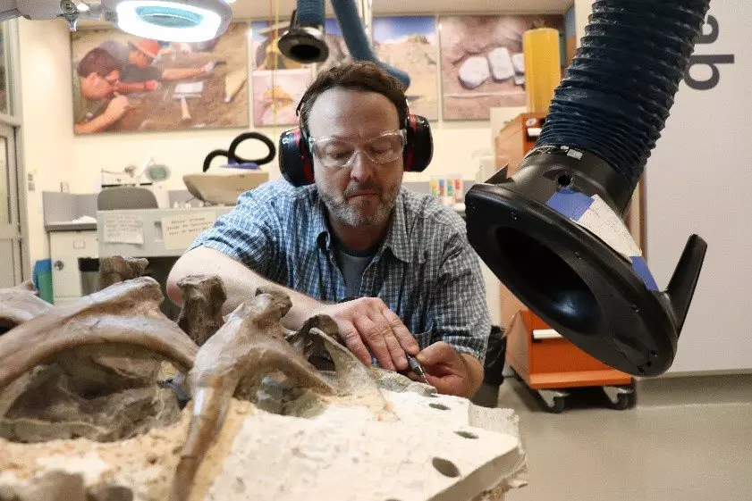 En frivillig med øre- og øyevern mens han jobber med å frigjøre fossilt bein fra stein ved en arbeidsbenk i Smithsonians FossiLab.